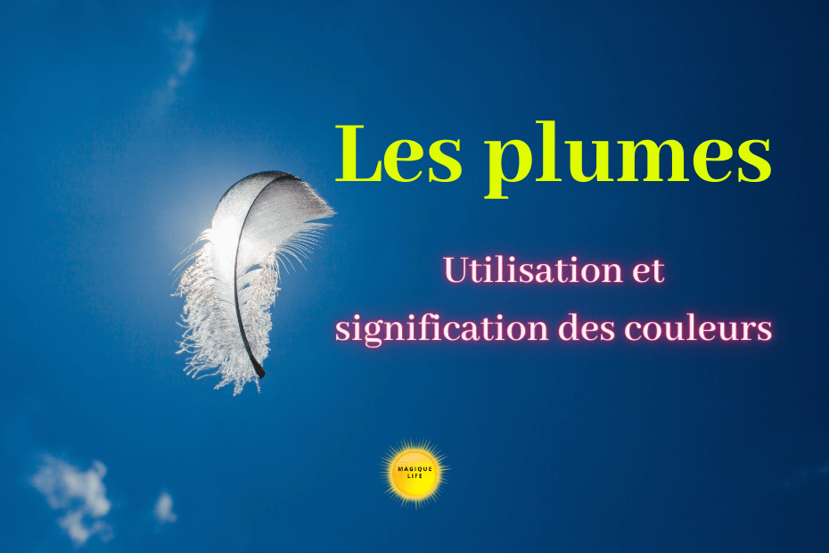 Signification de la couleur des plumes et utilisation