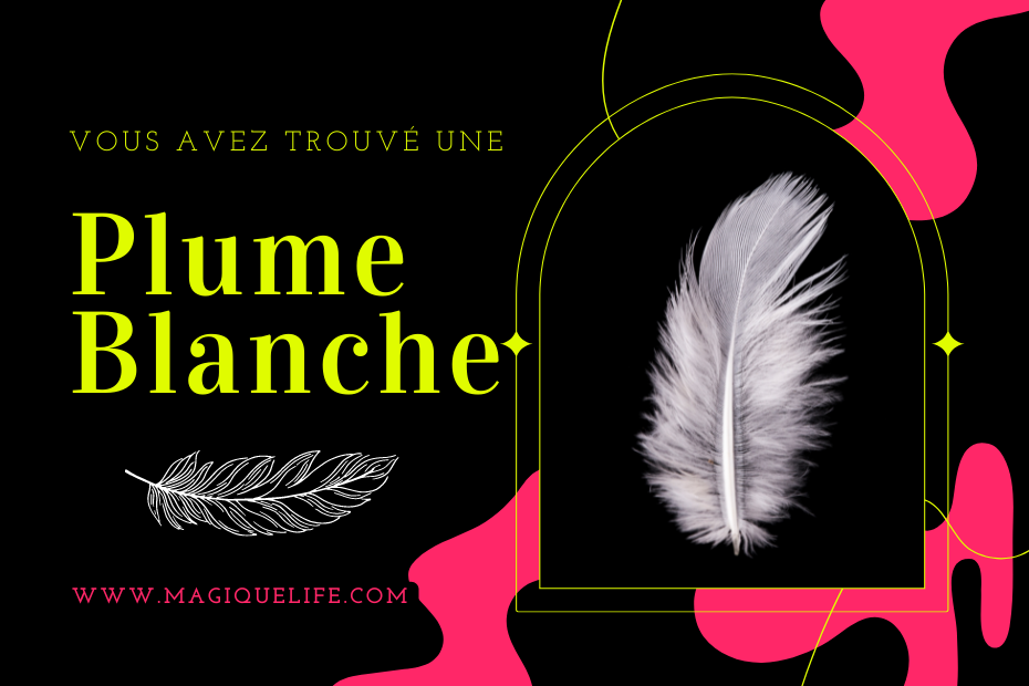 Plume blanche, vous en avez trouvé une ? Significations